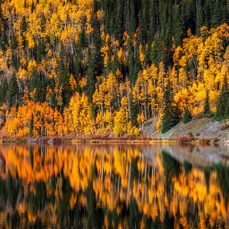 Colorado Fall Colors