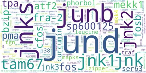 Jaspar Fosl1 Jun Ma1129 1 Profile Summary