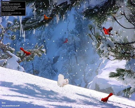 🔥 50 Free Winter Wallpapers And Screensavers Wallpapersafari