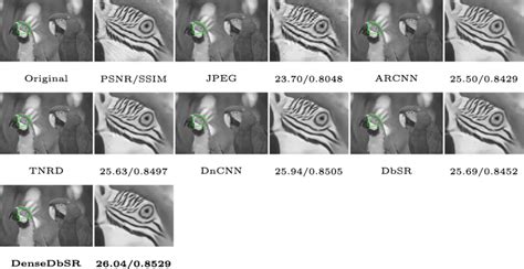 Visual Quality Comparison Of Deblocking With Qf 10 Download