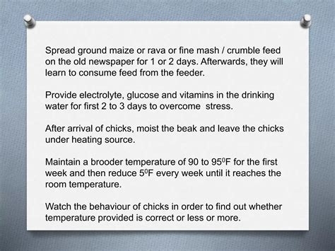 Brooding And Management Pptx