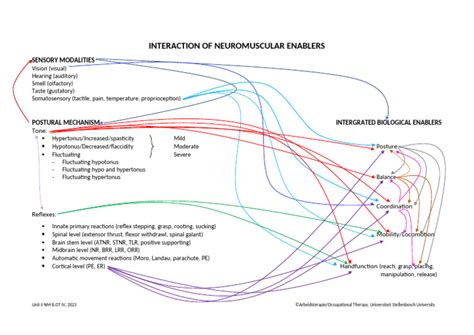 Neuromuscular Interaction And Sensory Modalities Pdf