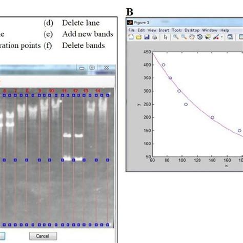 A The Graphical User Interphase For Editing Lanes And Bands B