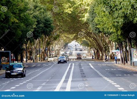 Lisbon Portugal Avinada De Liberdade Avenue With Arching Green Trees