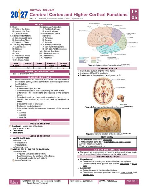Ana Lec Le 5 06 Cerebral Cortex And Higher Cortical Functions V1