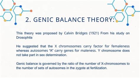 Botany Theories Of Sex Determinationpptx