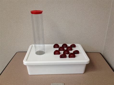 Bought This One From A Teeach Website It Was Sooooo Expensive Wish