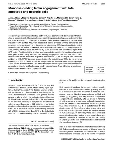 Pdf Mannose Binding Lectin Engagement With Late Apoptotic And Necrotic Cells Mohamed Daha