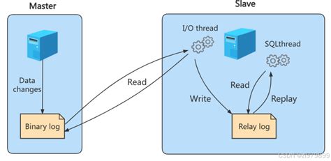 Mysql 主从复制 Csdn博客