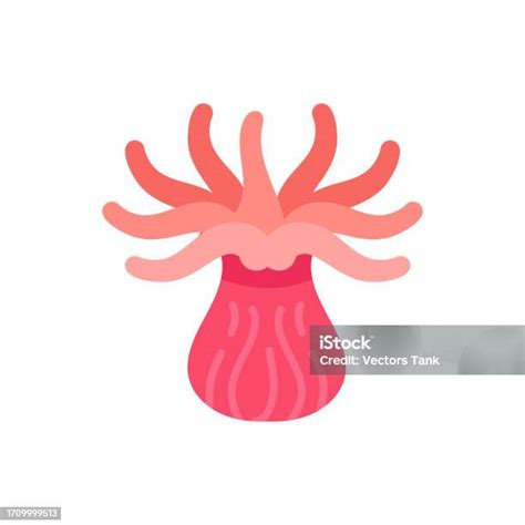 Ikon Anemon Laut Dalam Vektor Logo Ilustrasi Stok Unduh Gambar