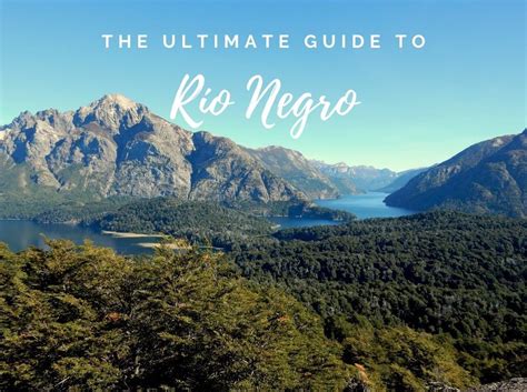 Patagonia Argentina Wine Region Your 2025 Guide To Patagonia Wine