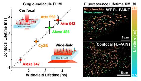 Single Molecule Fluorescence Lifetime Imaging Using Wide Field And