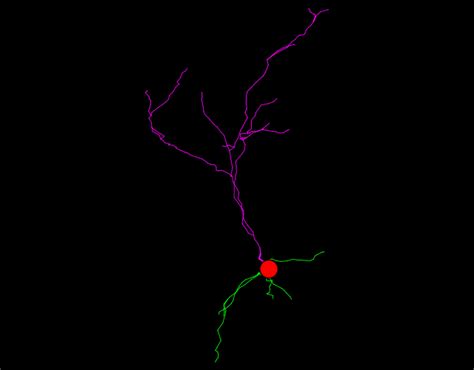 Detailed Cell Information 110a2rngr2ko4