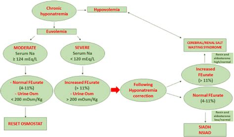 Extremely Rare Causes Of Chronic Hyponatremia Diagnostic Algorithm For Download Scientific