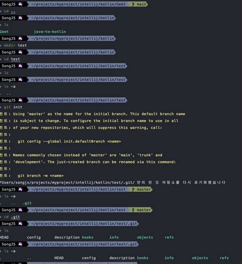 Git 내부 Git Init 후 발생하는 일