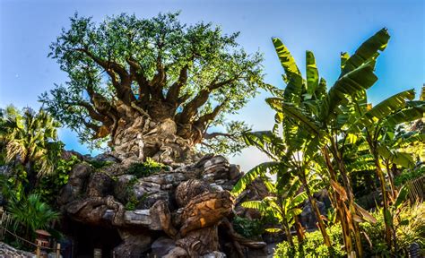 Biergarten Restaurant Review Wandering In Disney