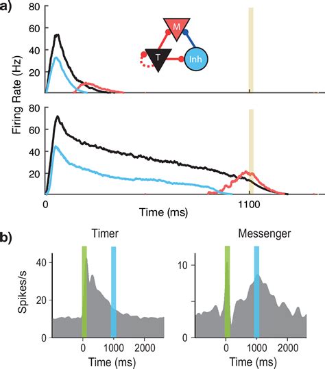 Figure 2 From Learning Precise Spatiotemporal Sequences Via