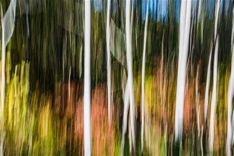 David Weesner — Stay Focused Photo Club