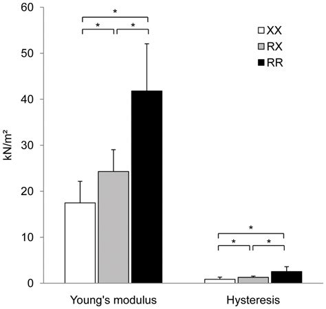 Average Youngs Modulus And Hysteresis Of Type Iiaiix Fibers Over