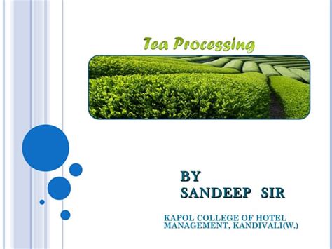Process Flow Chart Tea Processing Pptx