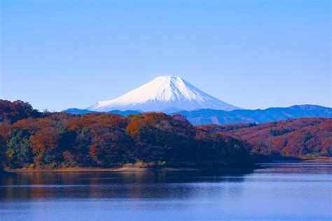 50 Essential Japanese Words And Phrases • Langfocus