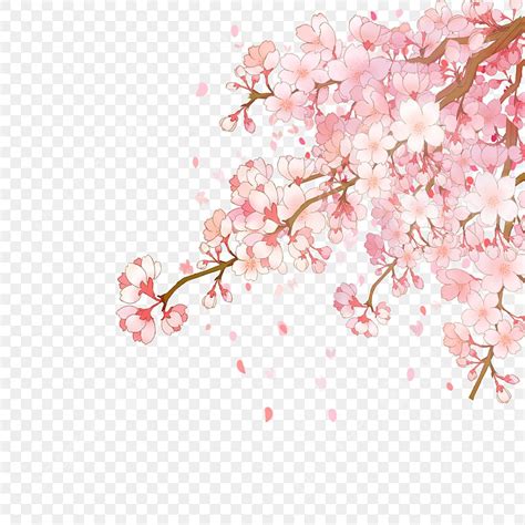 桜の木の枝イラスト画像とpsdフリー素材透過の無料ダウンロード Pngtree 桜 絵 桜吹雪 イラスト 桜 デザイン イラスト