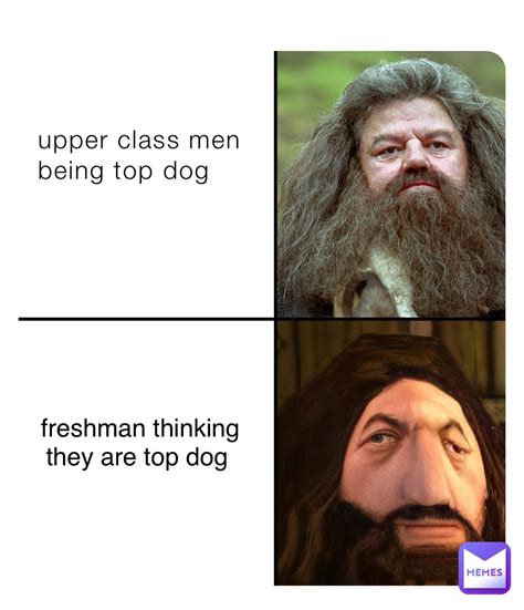 Freshman Be Like Meme
