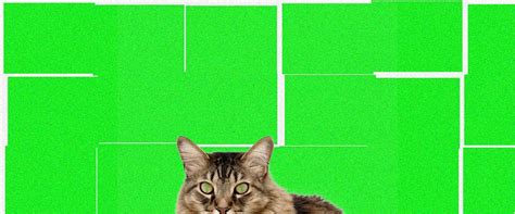 Hacker Noon Startengine