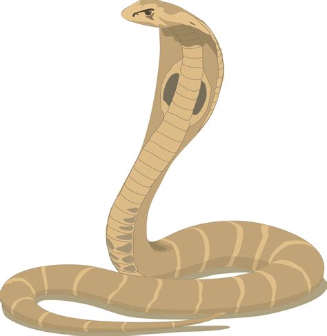 Free Cobra Cliparts Download Free Cobra Cliparts Png Images Free