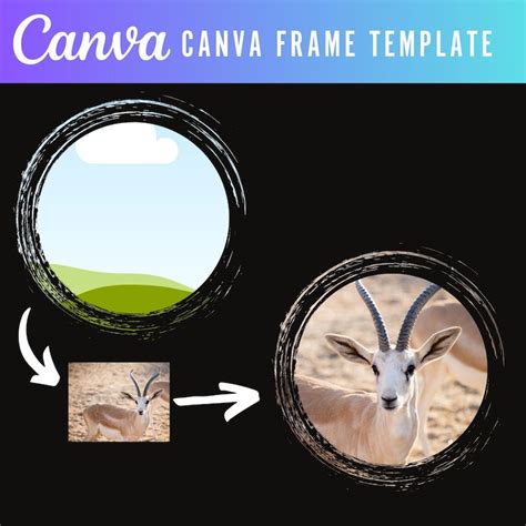 Canva Frames Templates Editable Canva Frames Abstract Pattern Canva