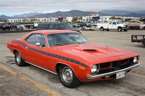 One Of The Best Investments One Can Make Today The Cuda