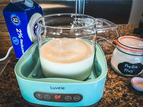 L Reuteri Yogurt In Luvele Yogurt Maker Cultured Food Life