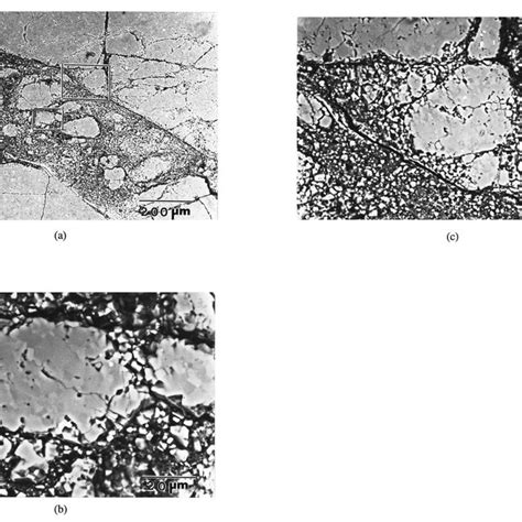 Microstructure Of Shear Band A Overview Of Shear Band B Large