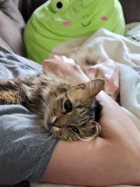 Strong Disney Eyes While Getting Cuddles From Dad R Disneyeyes