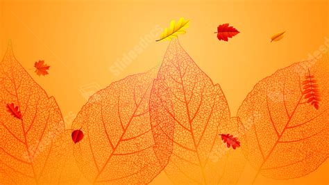 Yellow Advertising Leaf Autumn Maple Powerpoint Background For Free