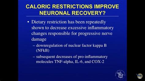 Cavernous Nerve Rhardflaccidresearch