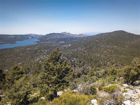 Hike Bertha Peak Via Cougar Crest Trail In San Bernardino National