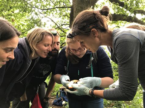 Level 1 Bat Licence Training Course Ecology Resources