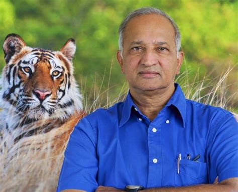 Dr Ullas Karanth The Kuno Project Is Doomed To Fail India News
