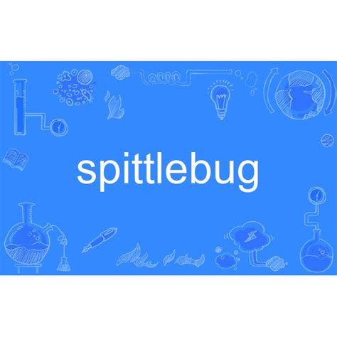 Spittlebug百度百科