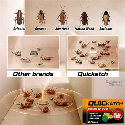 Cockroach Pest Guard Flyingcarts