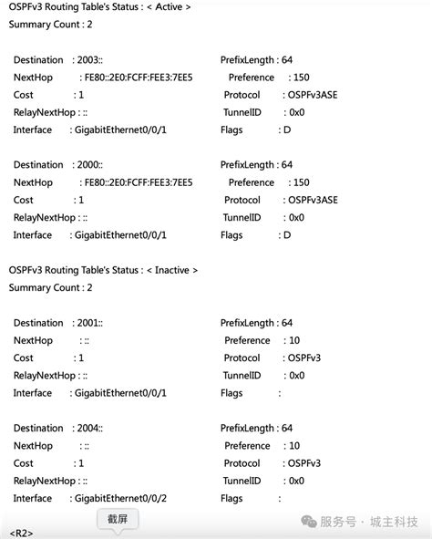 大型网络必备 ospfv3双进程路由互通 （一台路由设备同时运行两个不同ospf v3并实现互通） h3c 进程2 和进程3通过进程1 互通
