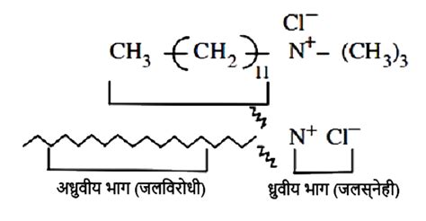निम्नलिखित में से कौन निश्चित सांद्रता से ऊपर जलीय विलयन में मिसेल का
