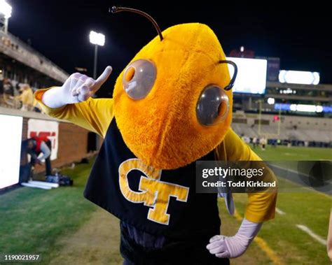 Yellow Jackets Mascot Photos And Premium High Res Pictures Getty Images
