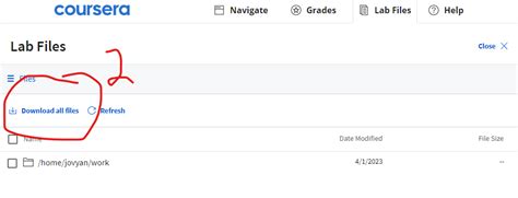 W3jupyter Notebookpermission Denied Neural Networks And Deep