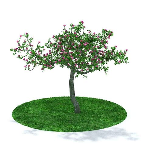 Plants Archmodels Vol 31 Evermotion