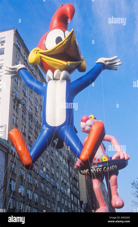 Woody Woodpecker Balloon In Macy S Thanksgiving Day Parade New York