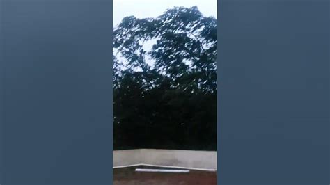 Ceylon Mithili Viral Ceylon Mithii Bangladesh Youtube