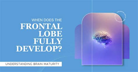 When Does The Frontal Lobe Fully Develop Hillside Horizon For Teens