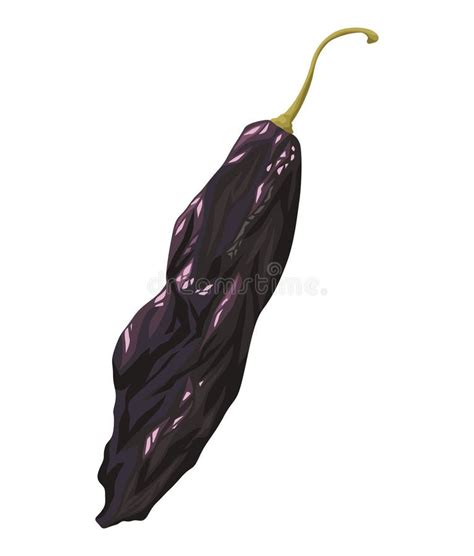 Pasilla Chilli Hot Vegetable Stock Illustration Illustration Of Chili